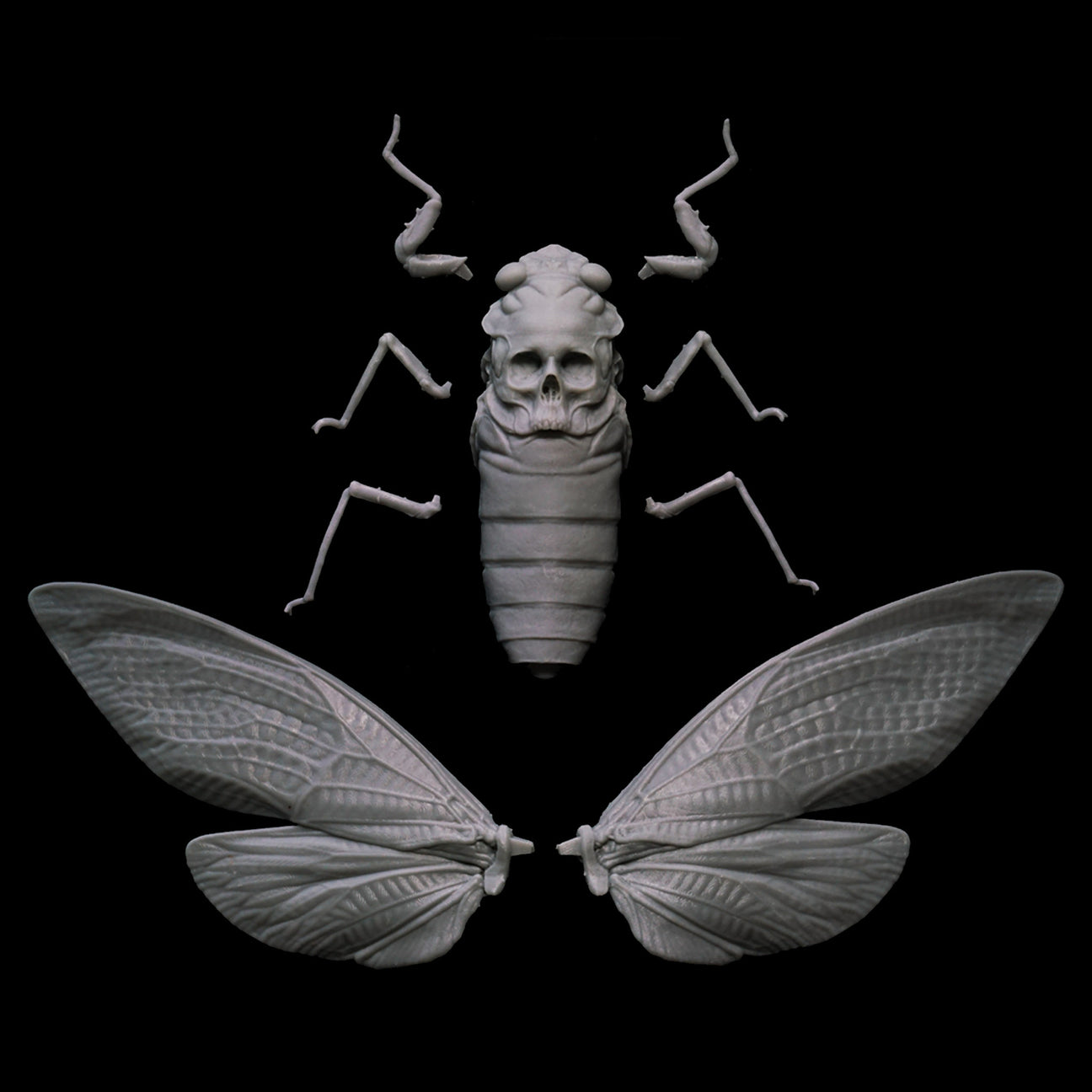 Skull Cicada - 3D print files – Paul Braddock