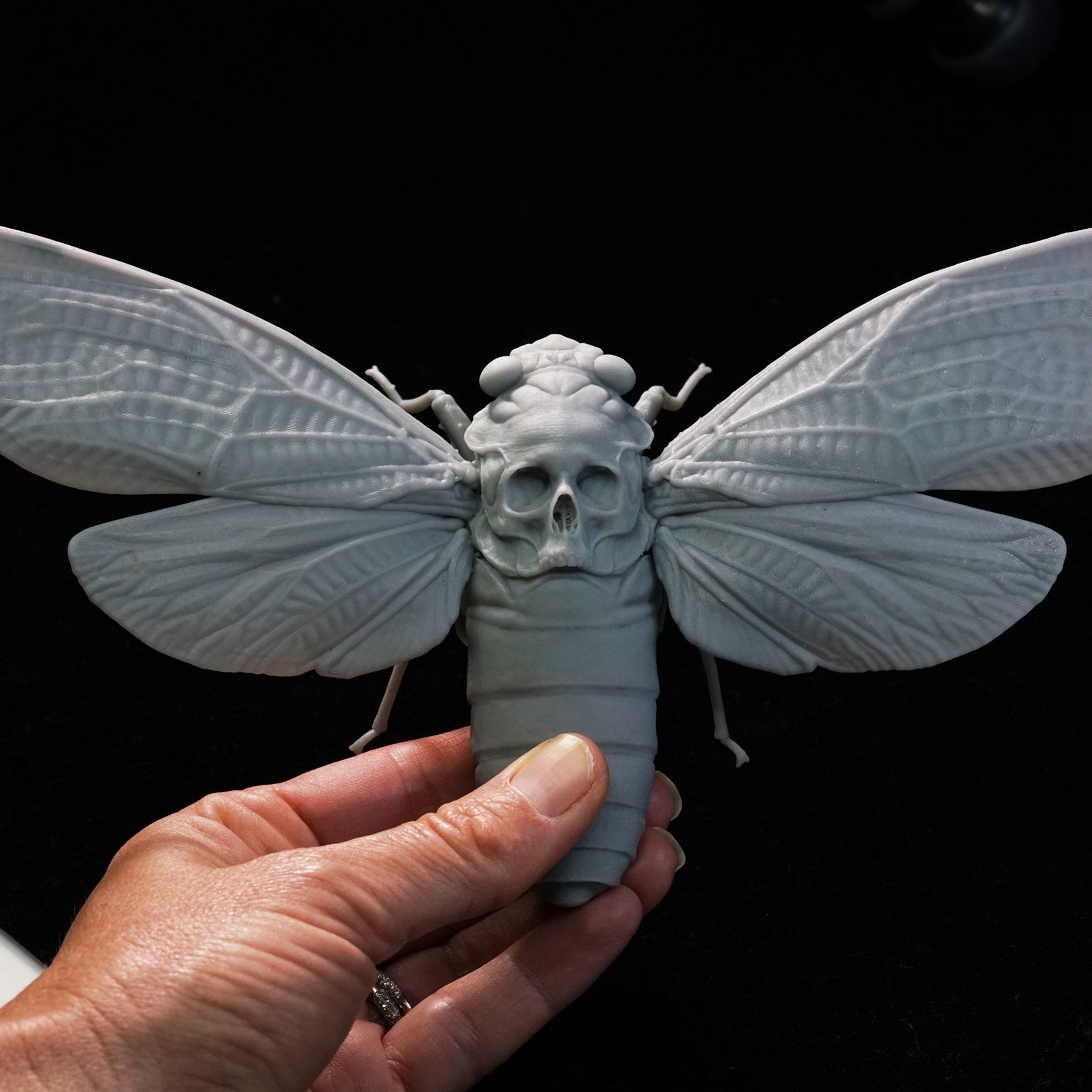 Skull Cicada - 3D print files – Paul Braddock