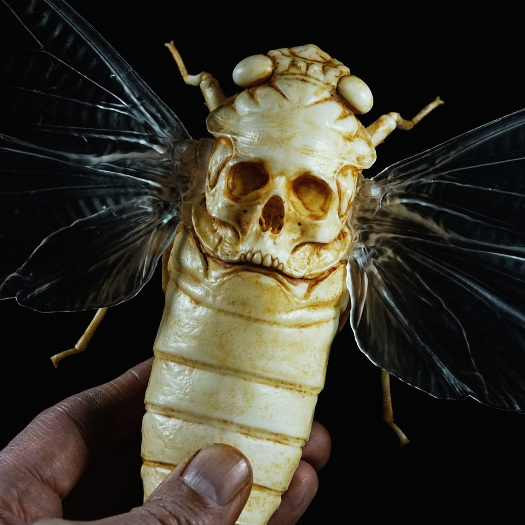Skull Cicada - 3D print files – Paul Braddock