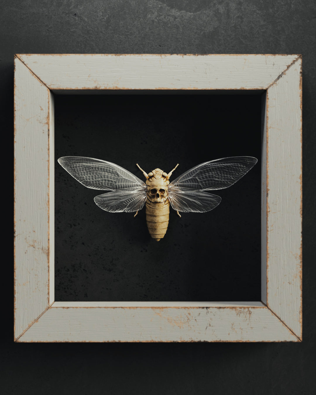 Skull Cicada - 3D print files – Paul Braddock